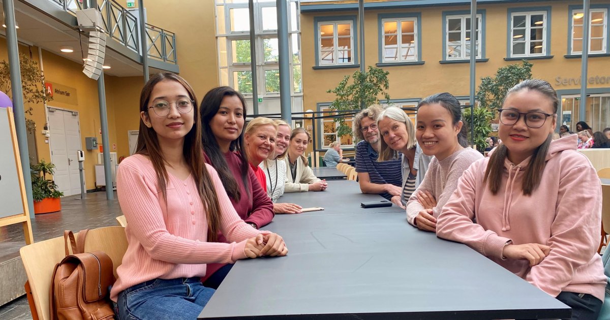 DVINE-workshop i Oslo - vid.no