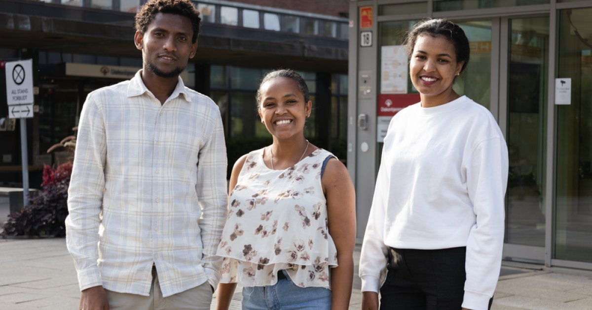 - Vi jobber alle for å forstå pasientene, både i Norge og Etiopia - vid.no